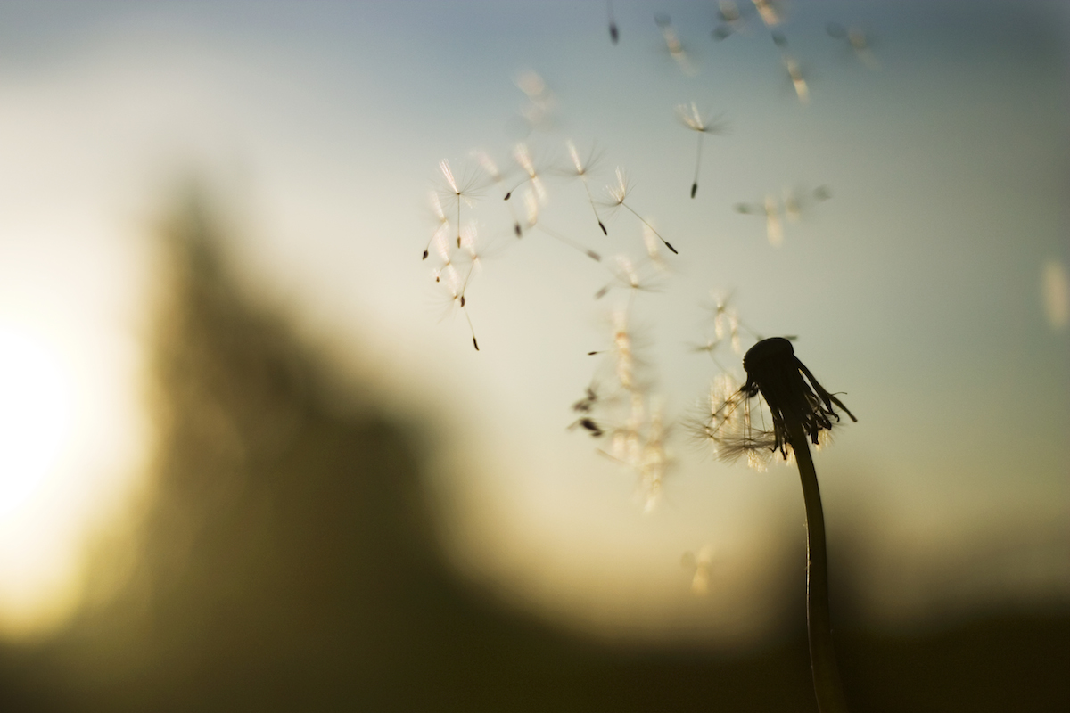 Suicide Is Not A Sign A Person Was Weak: It’s A Sign The Battle With ...