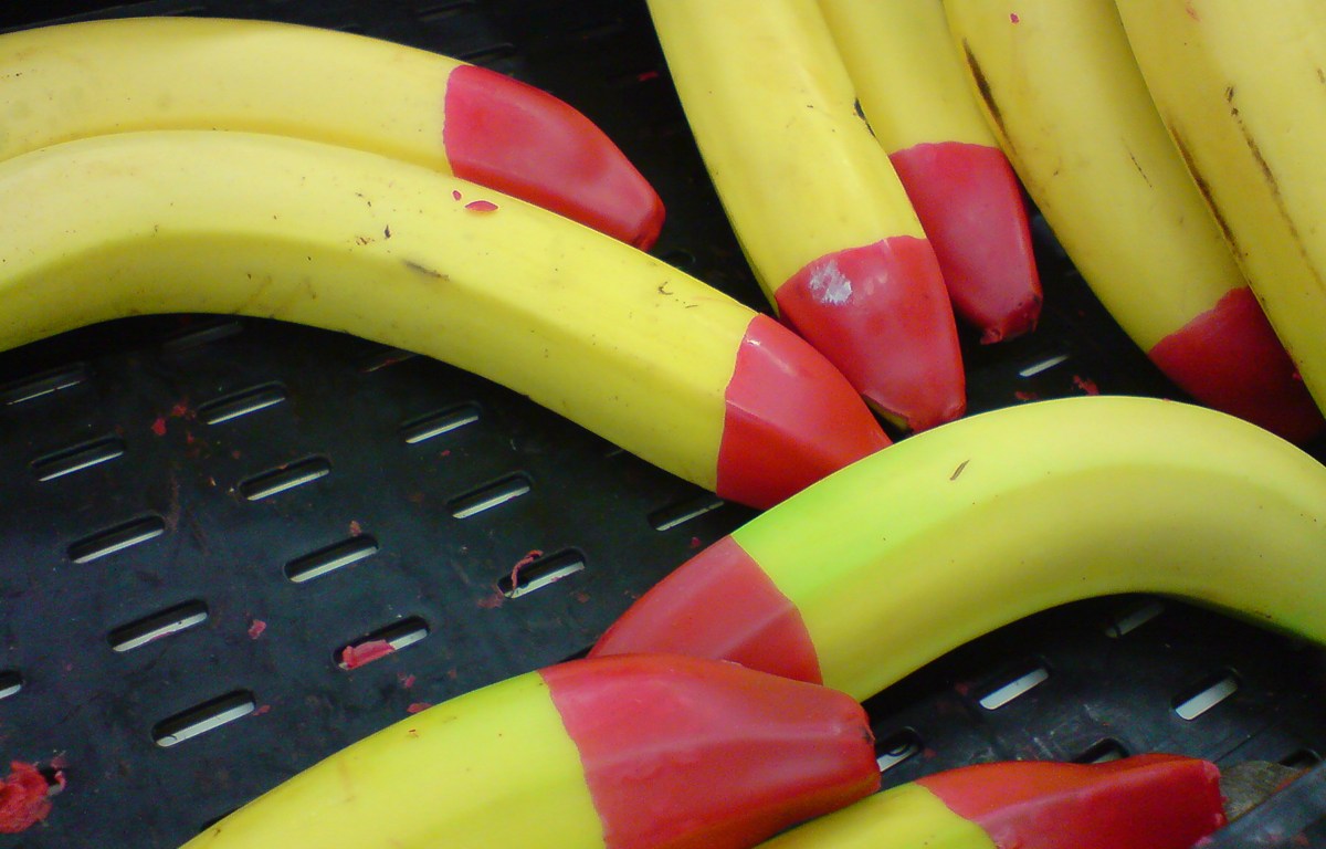 15 Fun And Freaky Facts About Foreskins Thought Catalog