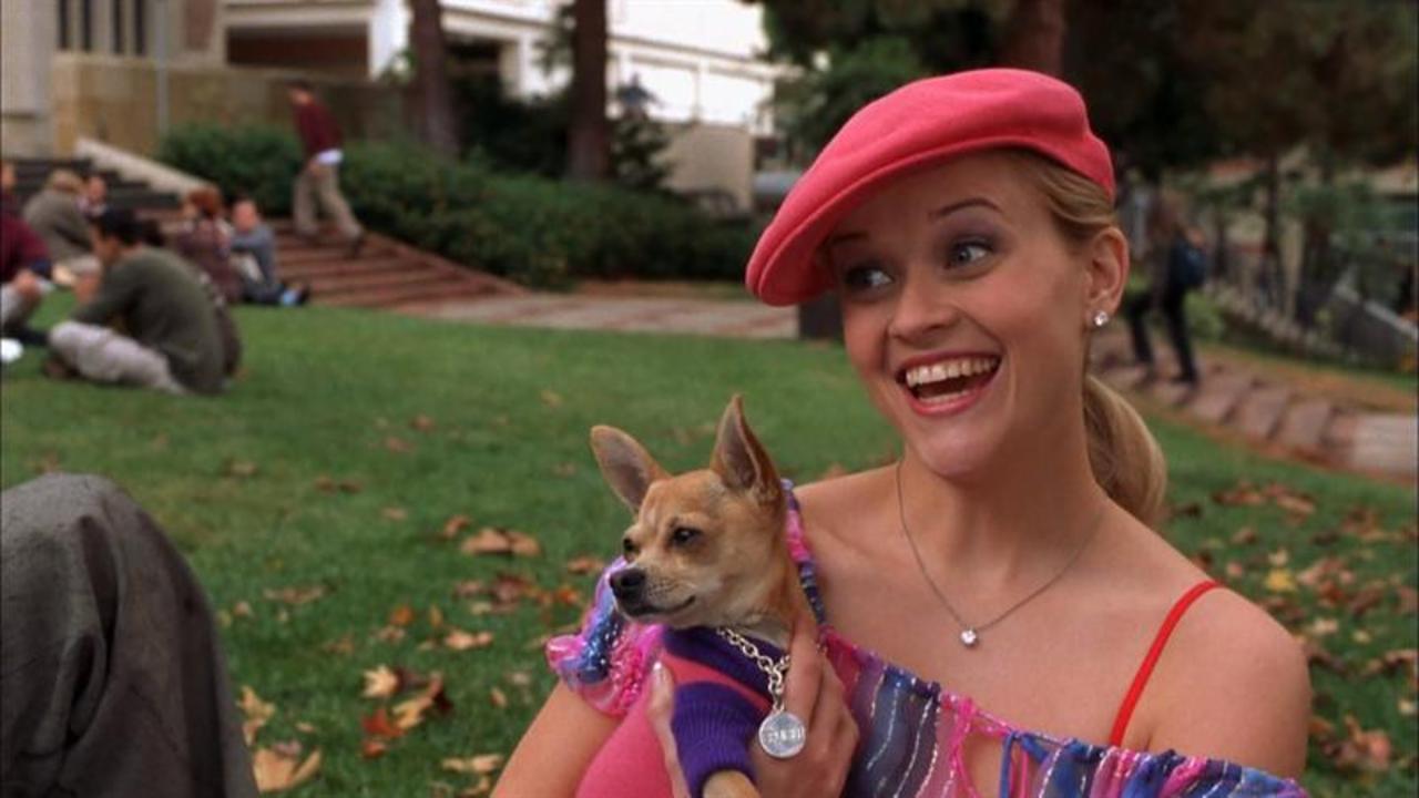 10 Enemies-To-Lovers Rom Coms That’ll Scratch The Romance Itch | Thought Catalog